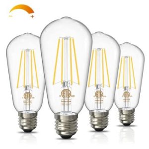 9 Best Edison Bulbs for 2024 - Buyer’s Guide